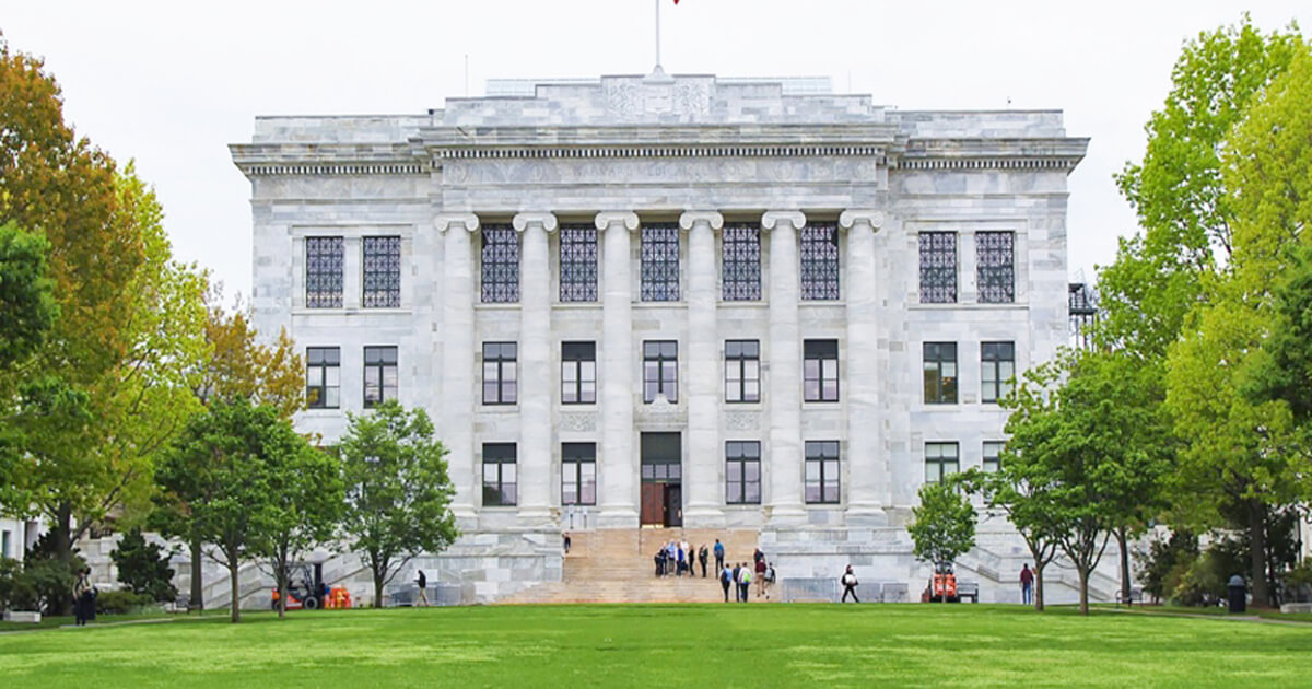 Team | Alireza Haghighi | International Center for Genetic Disease at ...